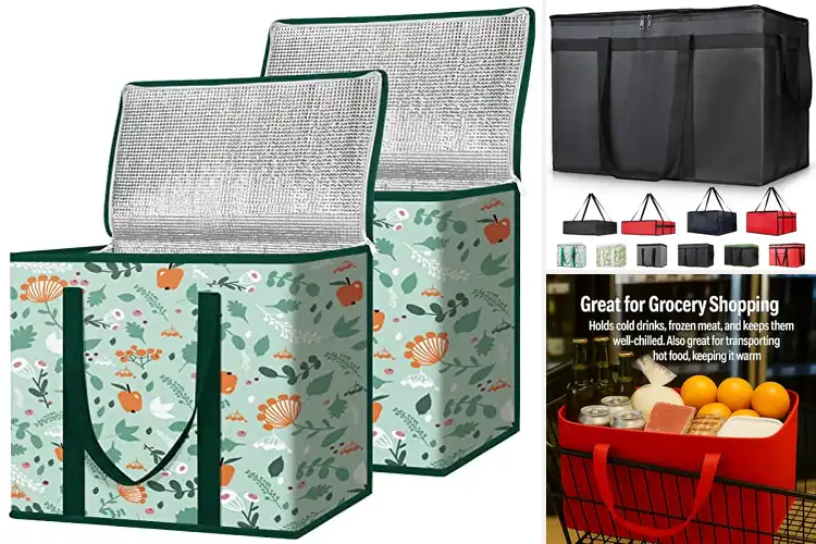 Insulated Totes: Keep Food Fresh Anywhere – TacosTradition