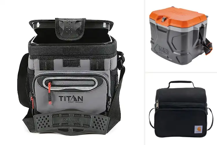 Best Work Coolers: Stay Cold All Day – TacosTradition